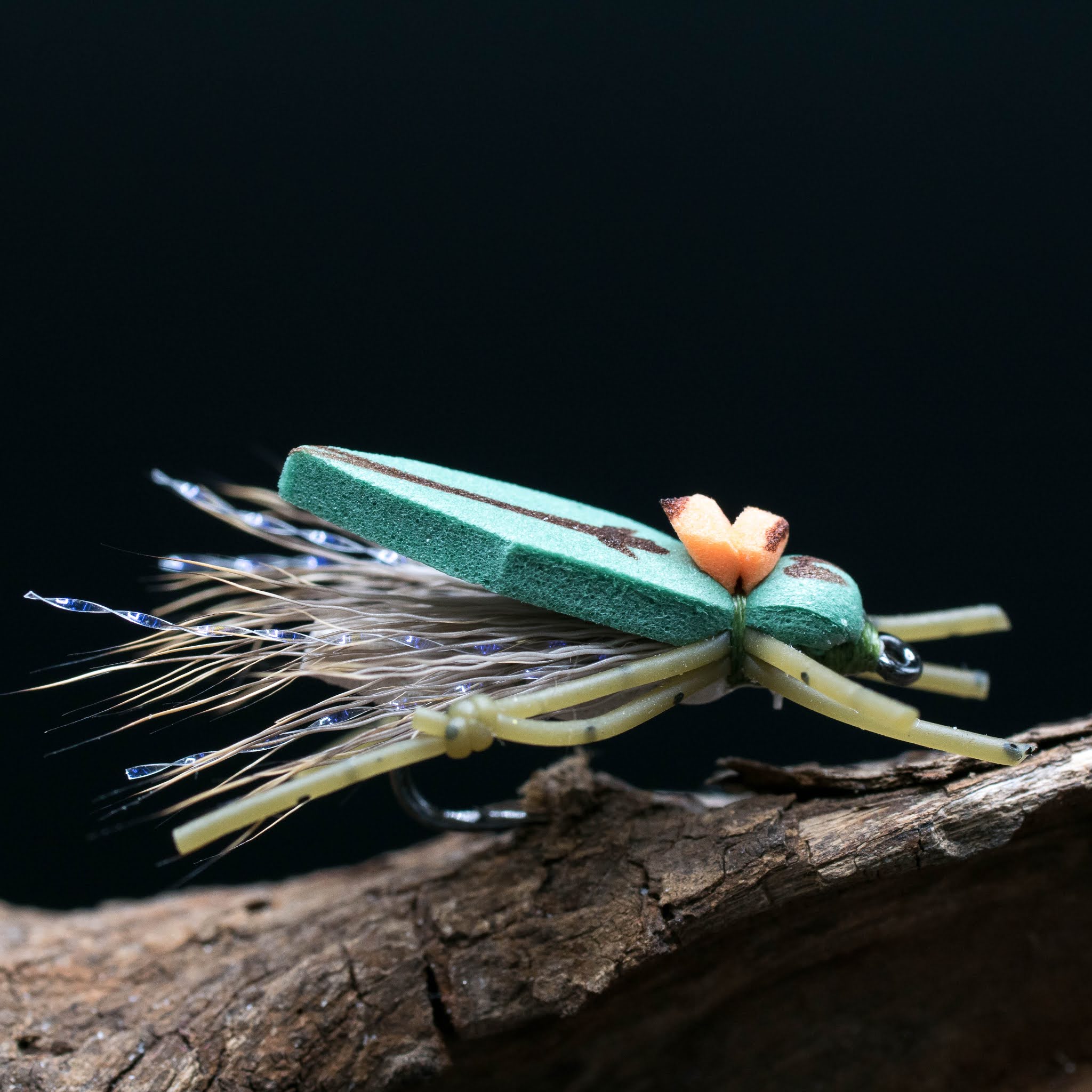 50 På Fluga: Feature Fly of the Month: August - Bugs, Insects and ...