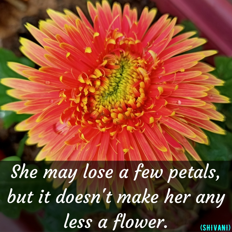 Best 30 Inspirational Flower Quotes With Beautiful Pictures-Quotes ...