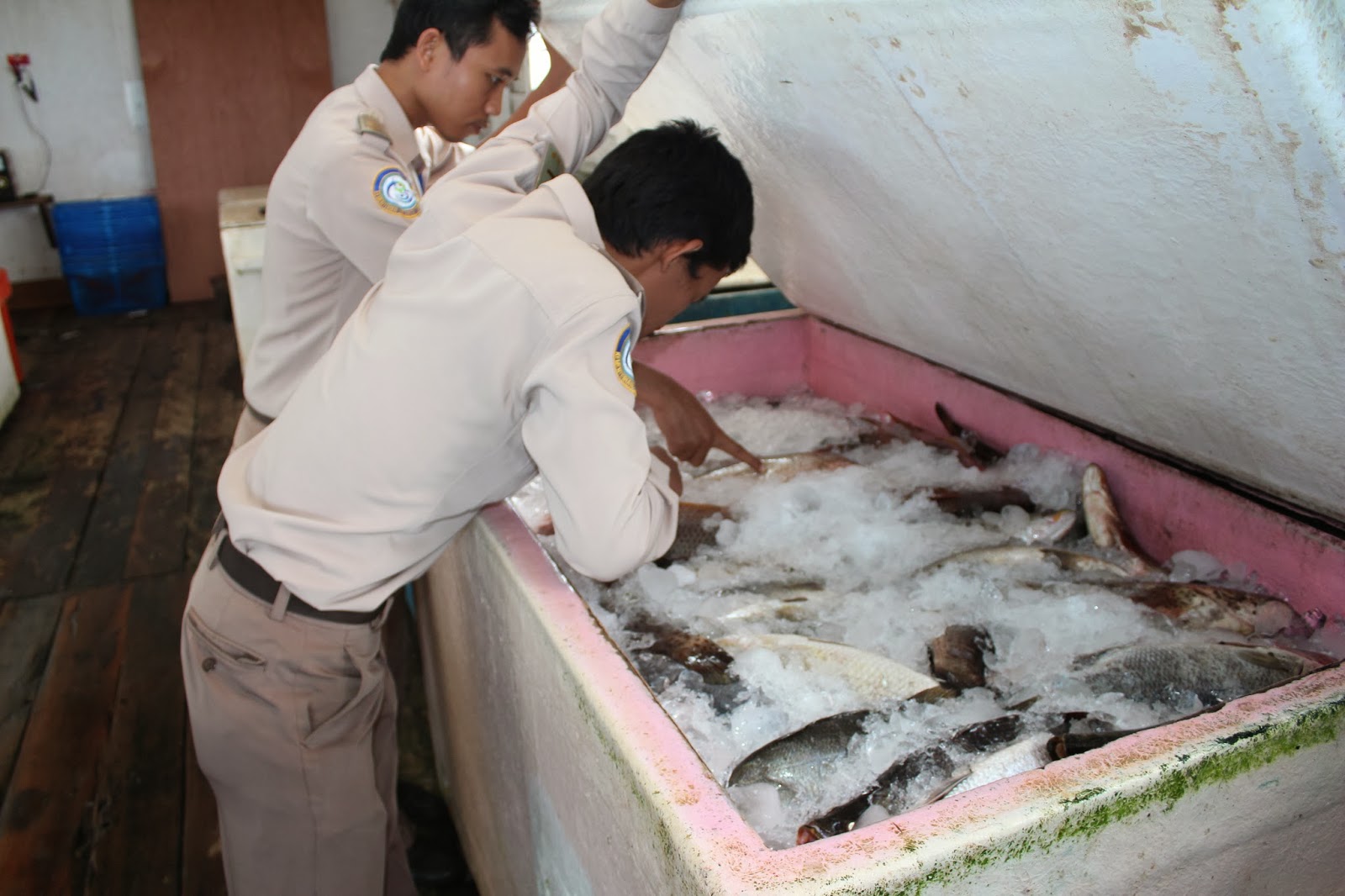 Visi & Misi - Stasiun Karantina Ikan Pengendalian Mutu dan Keamanan ...