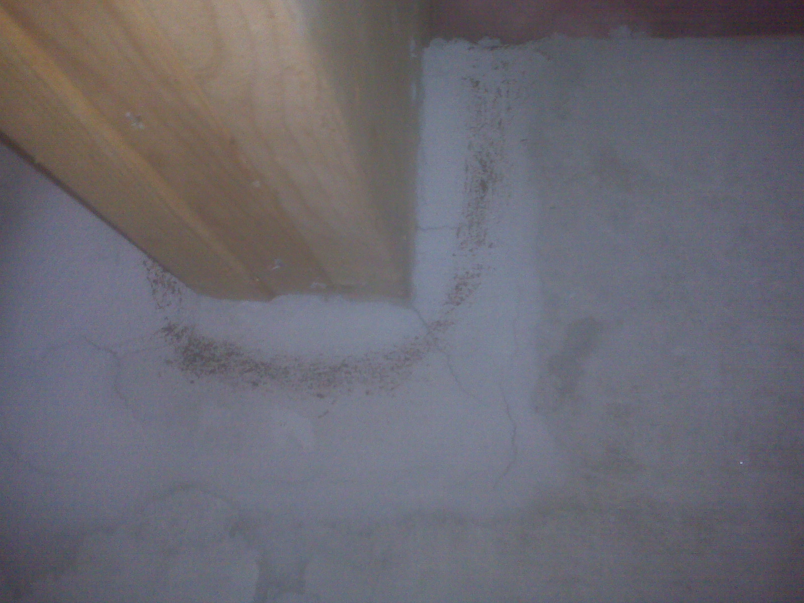 Rodent Rub Marks - GreenHow Pest and Termite Control Boston