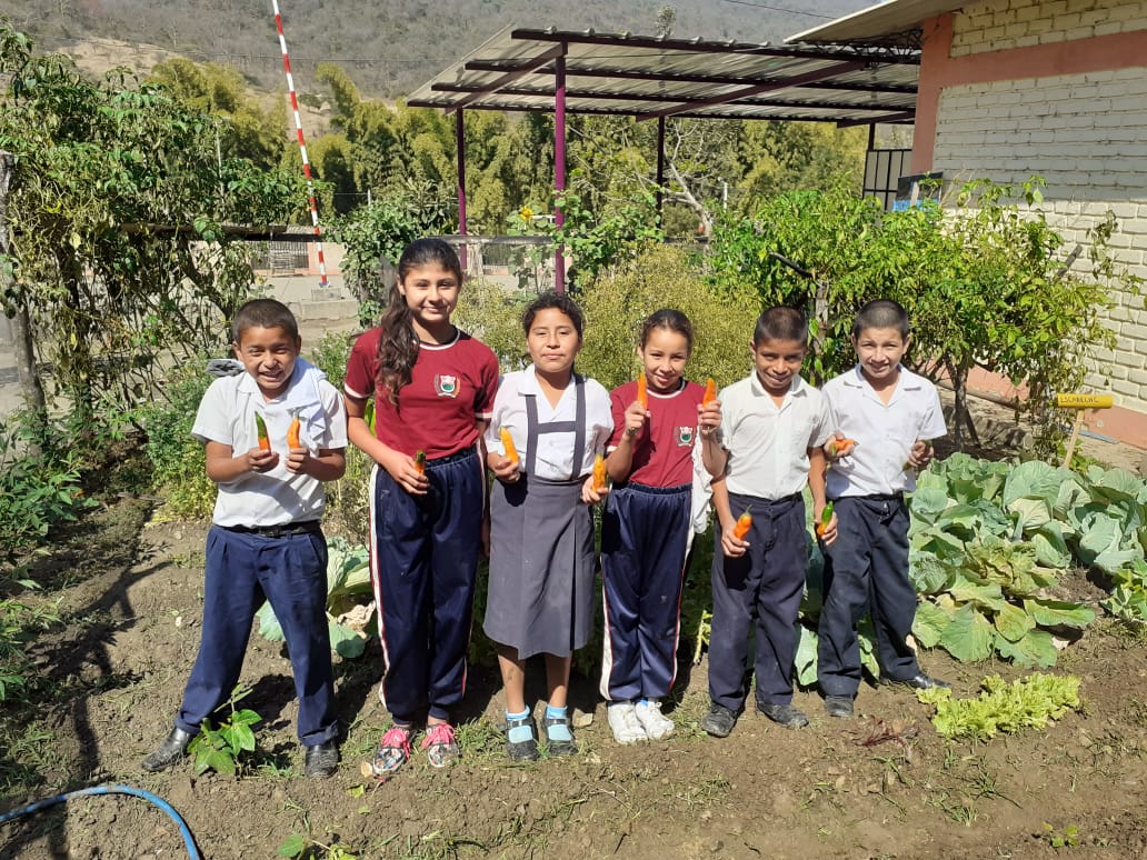 FACTORTIERRA: Una escuela rural se hace tendencia en Facebook