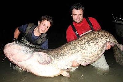 International Fishing News: ITALY: hot action on Po river
