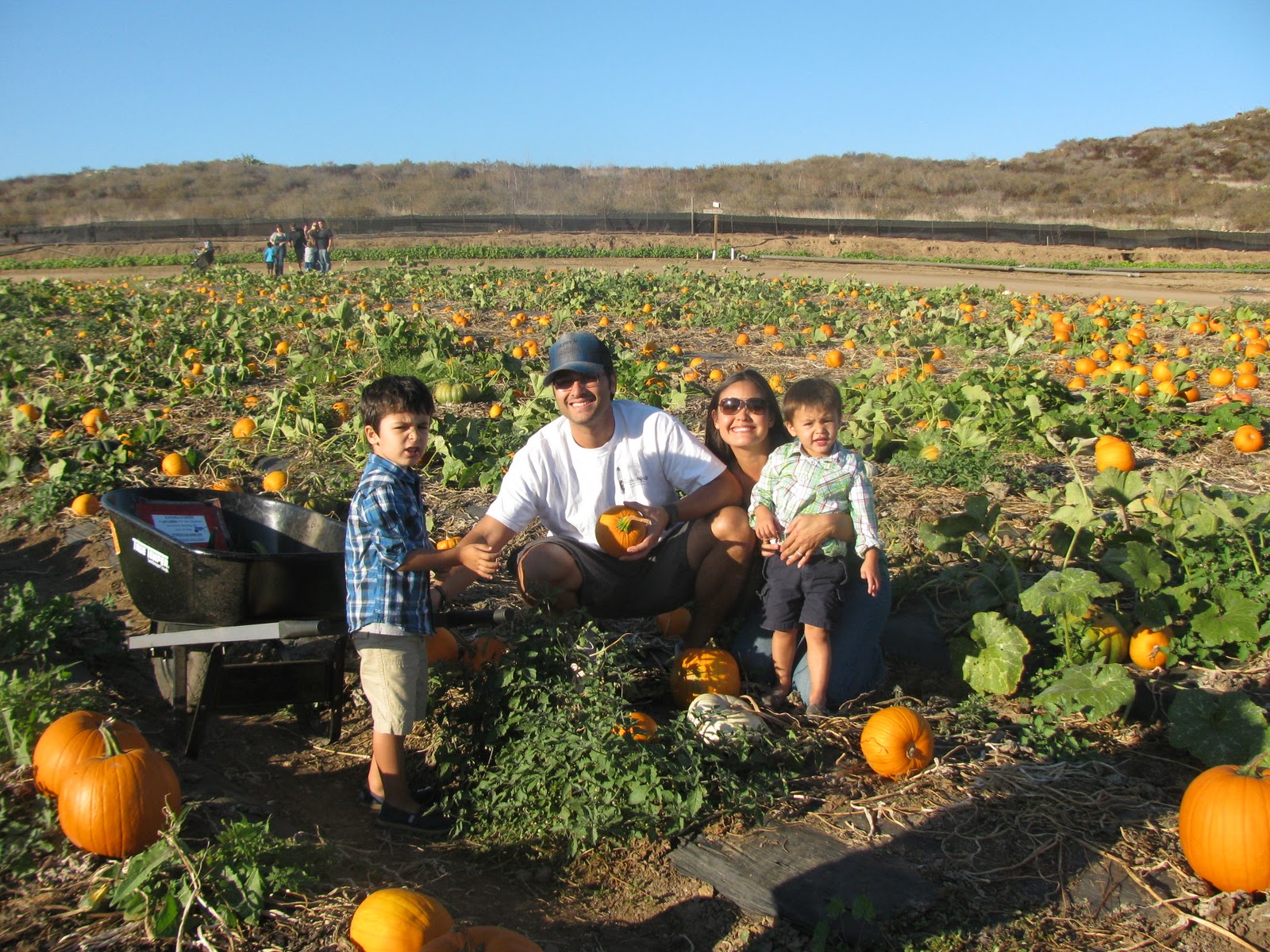 Life in the Jacoby House