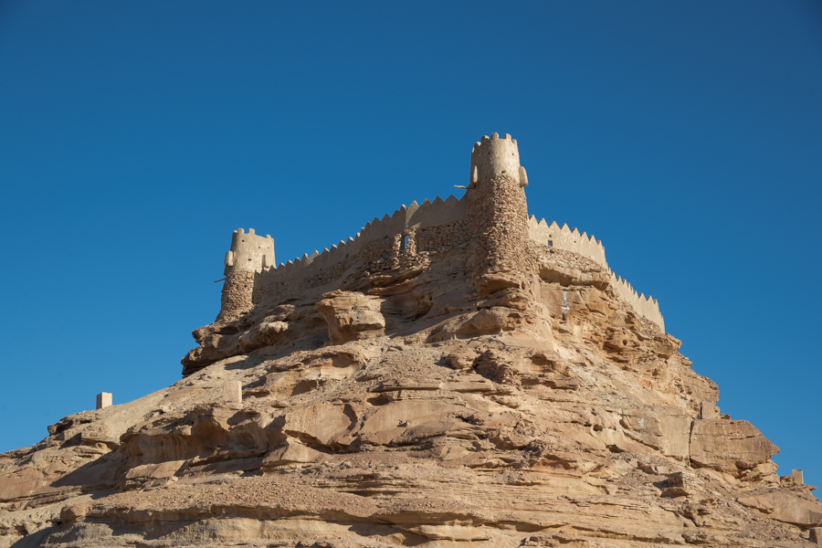 Birds of Saudi Arabia: Zaabal Castle - Sakaka