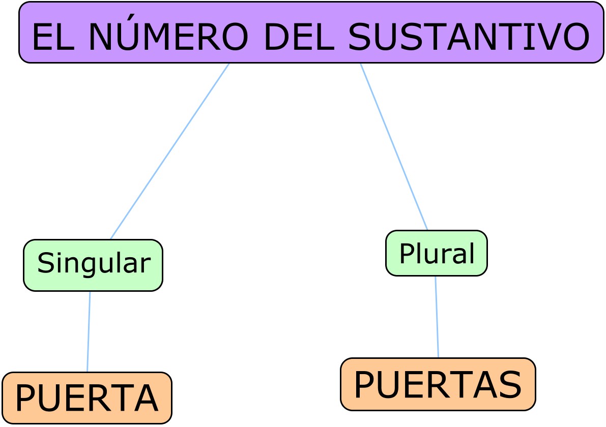 EL BLOG DE 6º C: EL NÚMERO DEL SUSTANTIVO