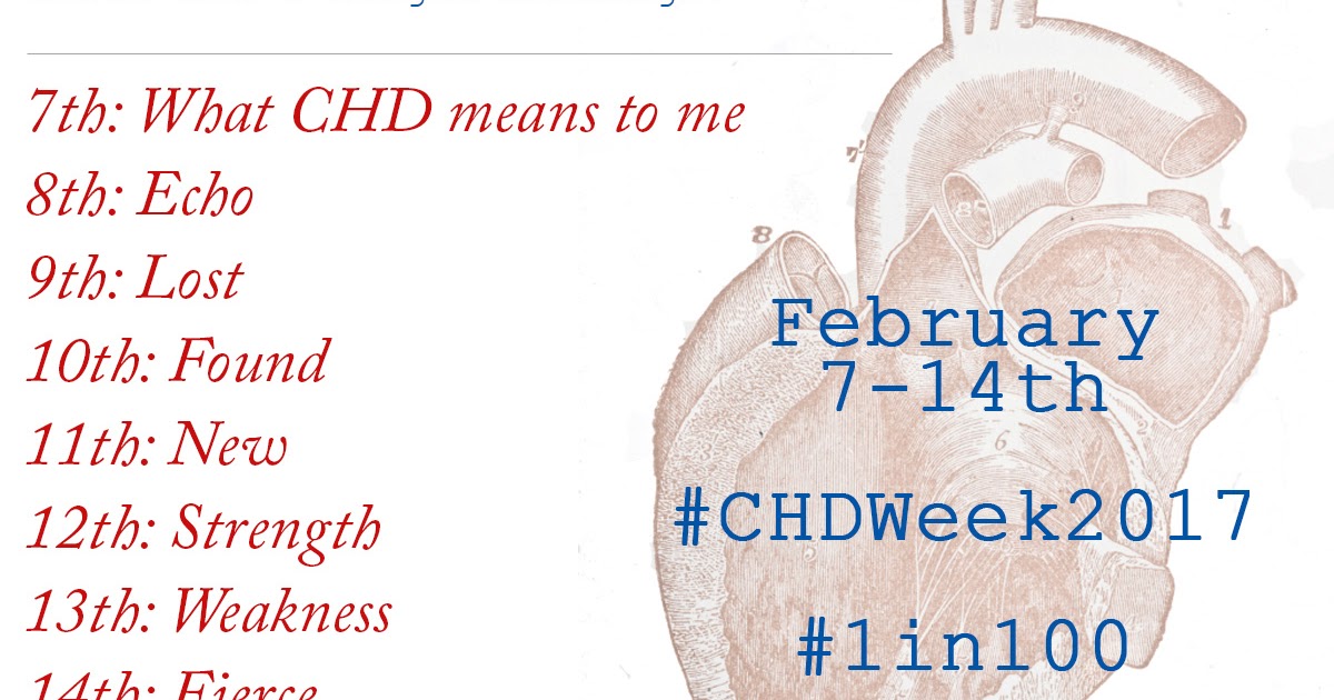 The Pearl in the Oyster: CHD Awareness Week: 2017!