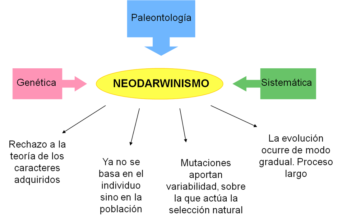 Teoria Sintética De La Evolucion