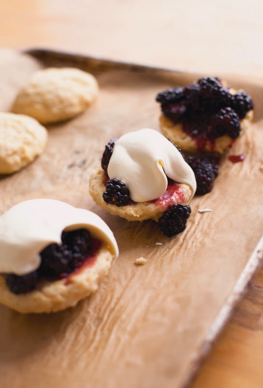 Blackberry Cornmeal Shortcakes - Hundred Recipes