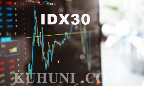 Saham IDX30 Terbaru Hingga Juli 2021 - Kuhuni.com