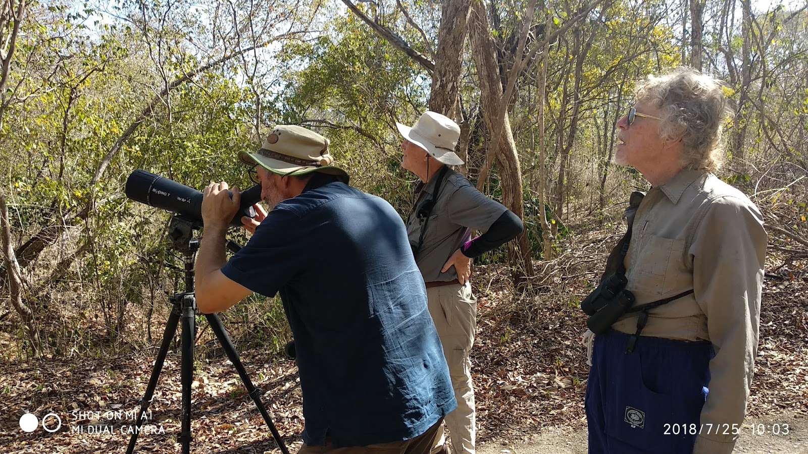 Birding in Bali Barat National Park - Trip Report-Review-Testimony