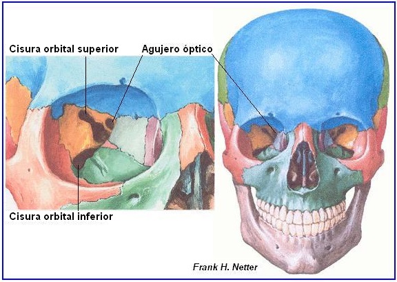 CLASES DE MEDICINA: junio 2015