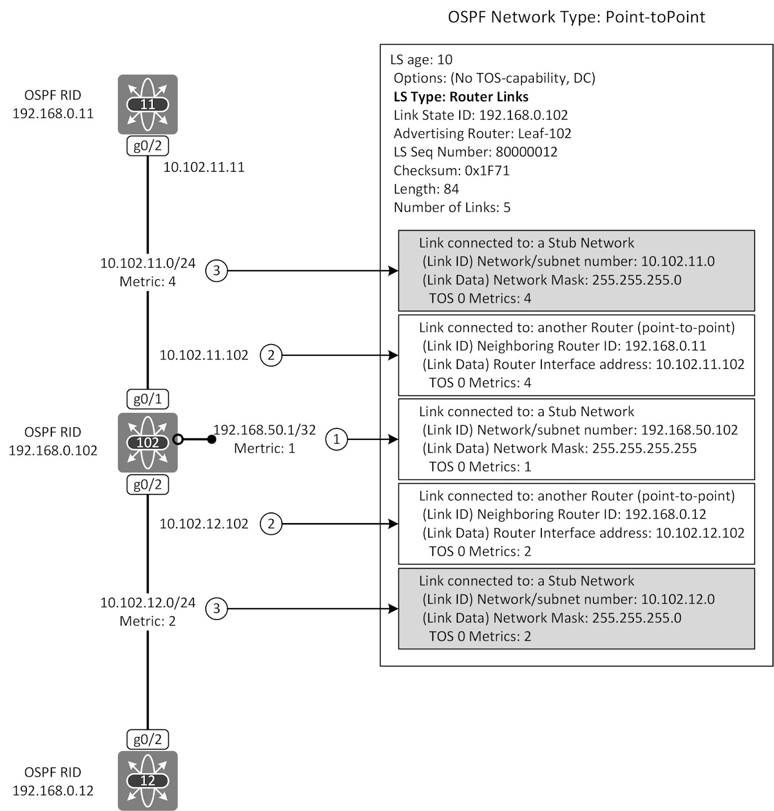 The Network Times Vxlan Underlay Routing Part I Ospf And Dijkstra Spf Algorithm