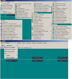 PAQUETES CONTABLES: PAQUETE CONTABLE TRIDENT
