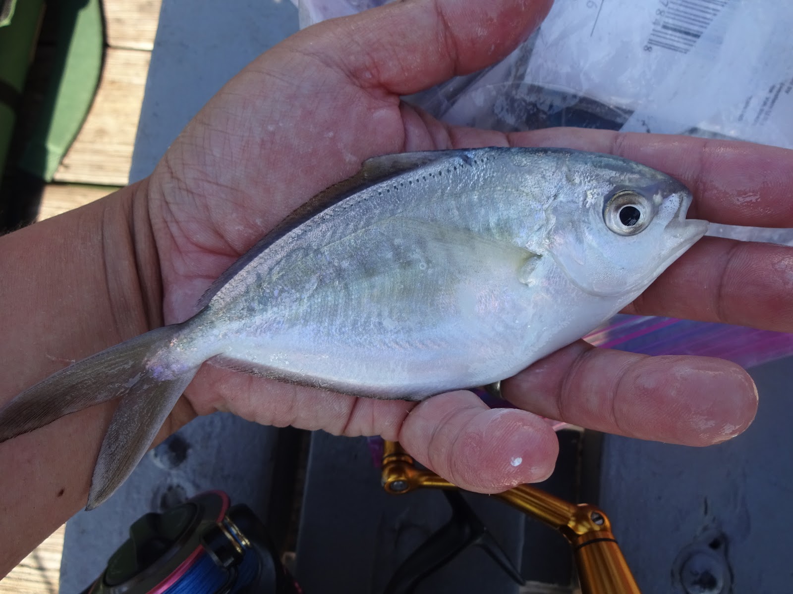 Extreme Philly Fishing