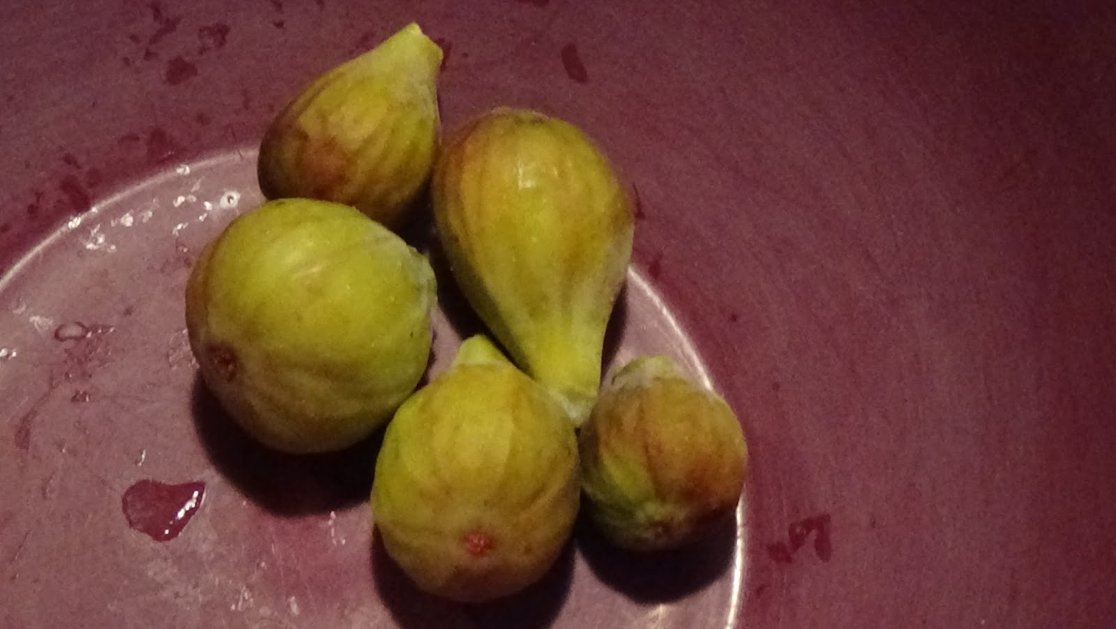 Cappy & Pegody's World: The Beginning of Fig Picking Season