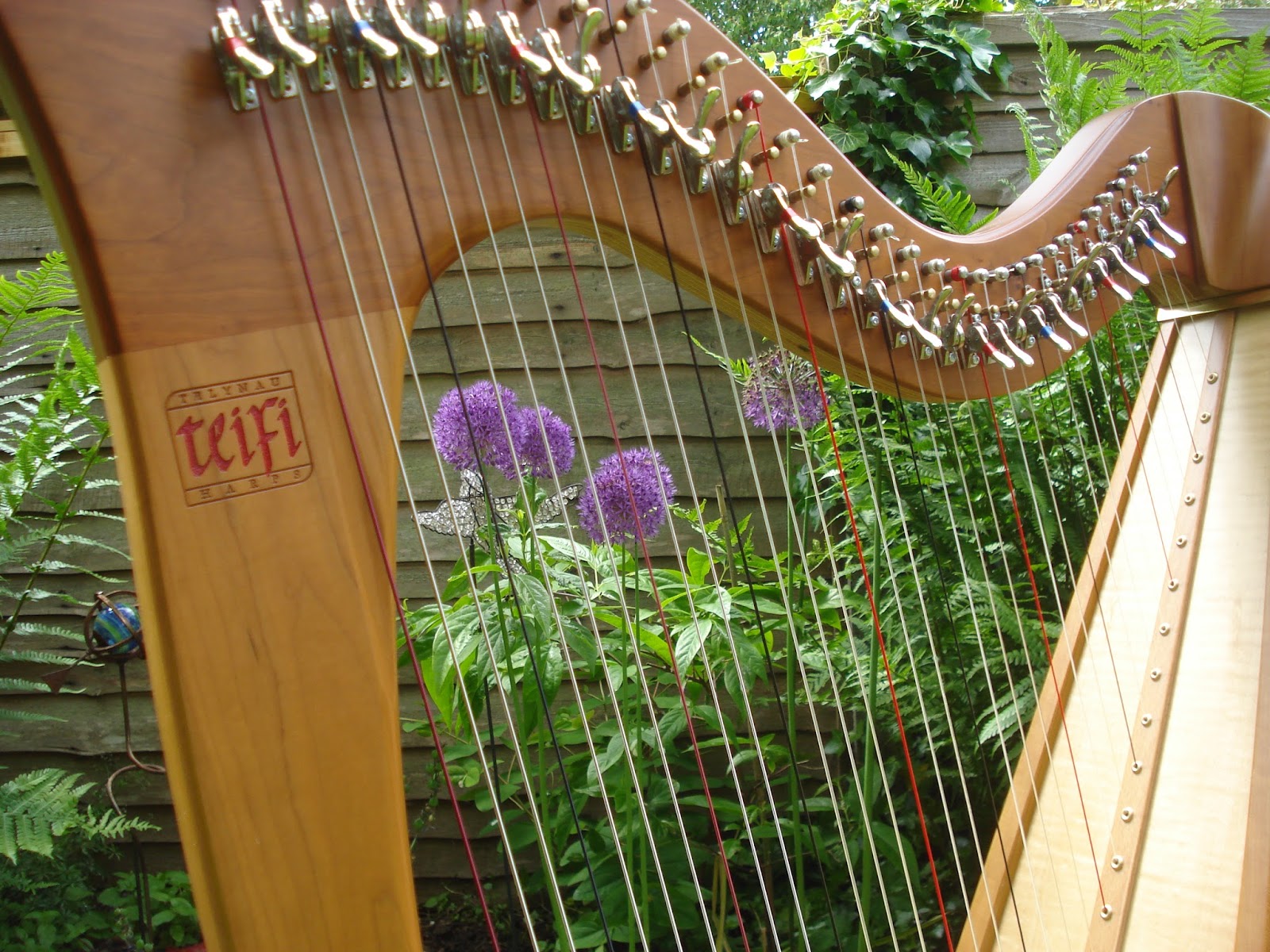 ccraftcorner: Harp in the Garden!