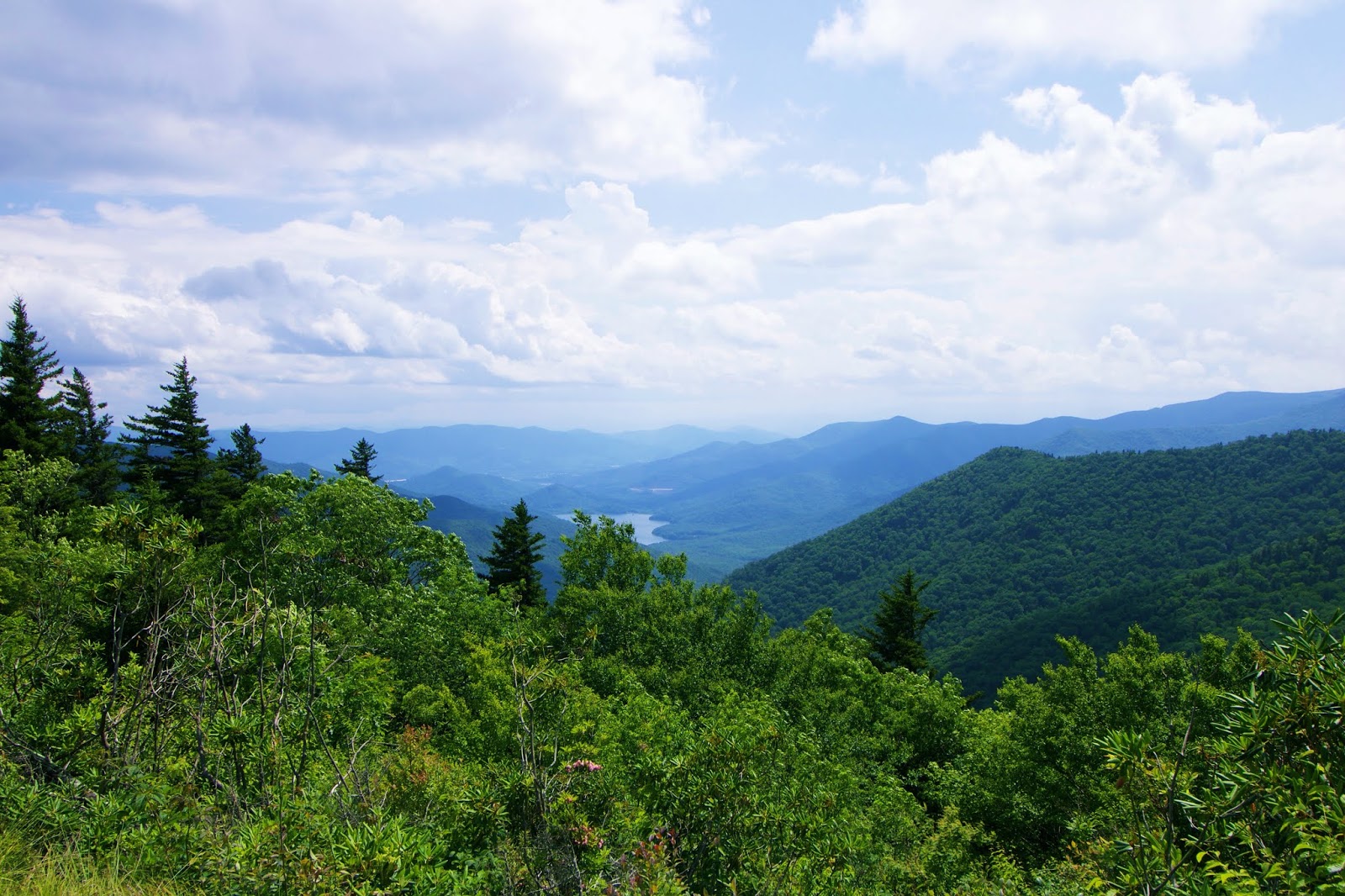 Blue Ridge Mountains - Bluebell Trips
