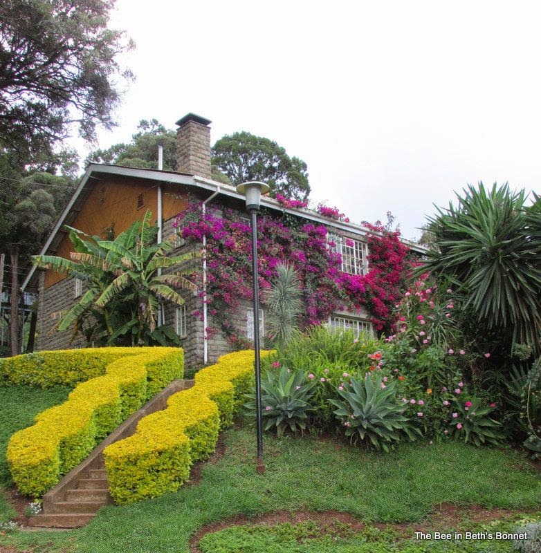 The Bee in Beth's Bonnet: Rift Valley Academy & Beyond