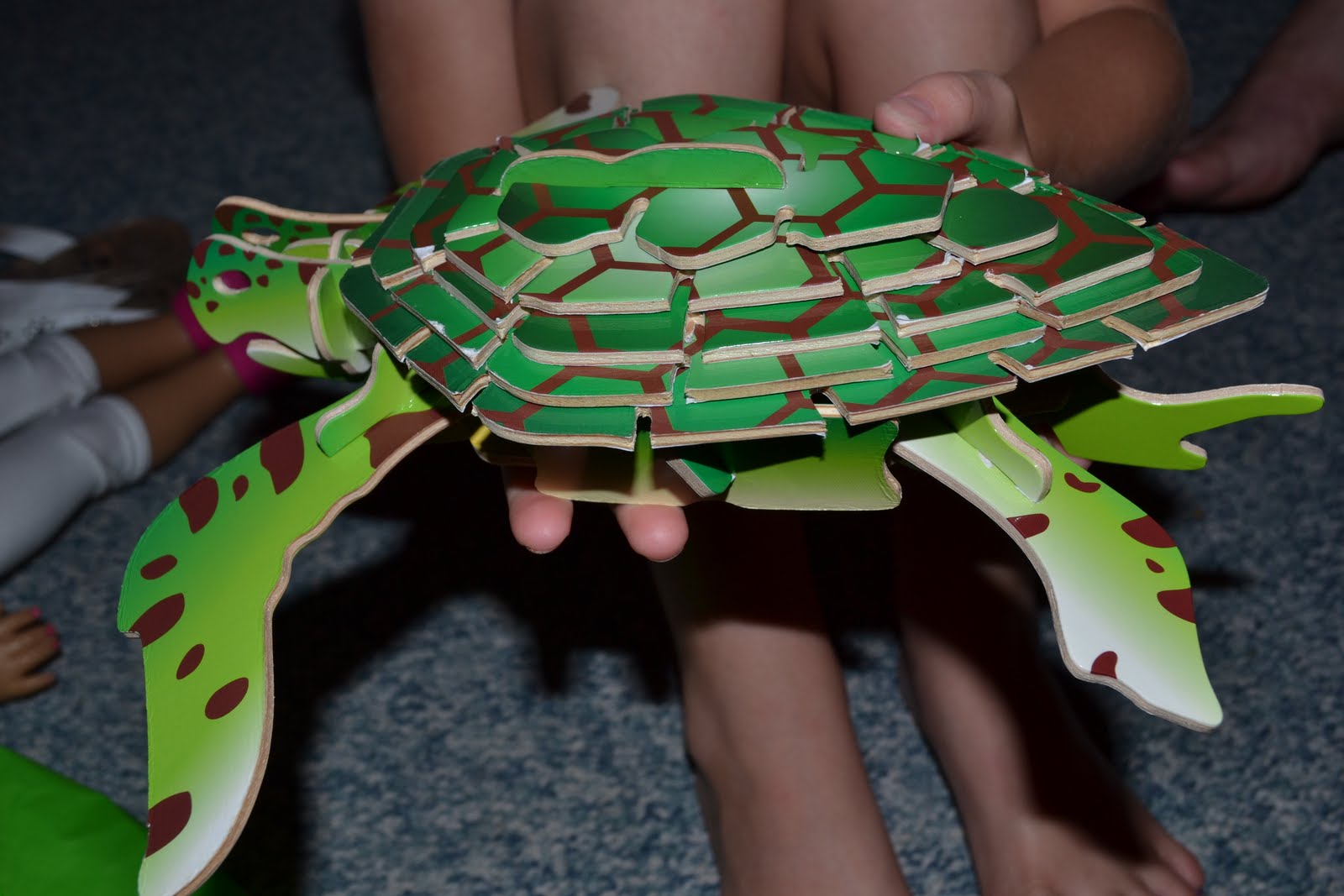 Three Pixie Lane: A Treasure Hunt, Loggerhead Turtles and Letting Go