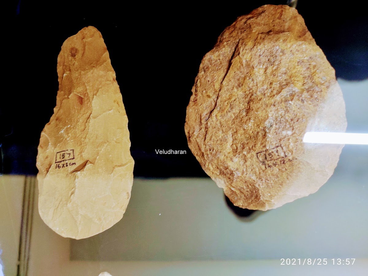 A Wandering Heritager: Pre-Historic Site Museum / Poondi Museum ...