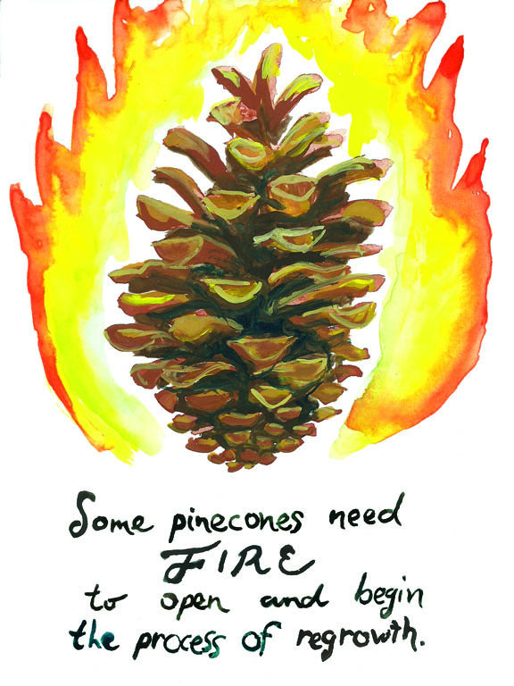 Light table negatives - downloadsapo