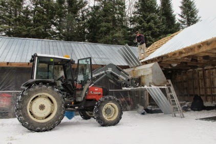 Crónicas de un trotamundos: Los colores del maple