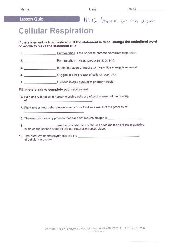 Dr. Gayden's Eighth Grade Science Class: December 2012
