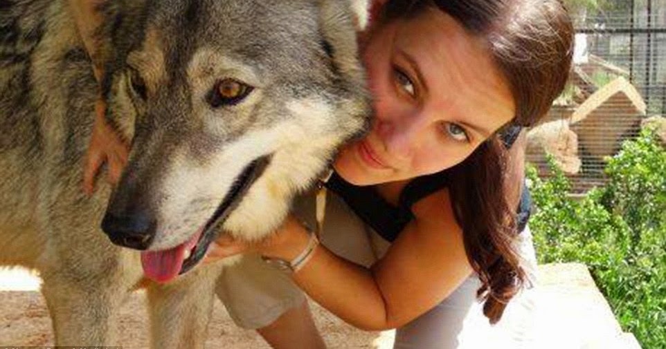 White Wolf : Kisses from Wolves: Polish Journalist Develops an ...