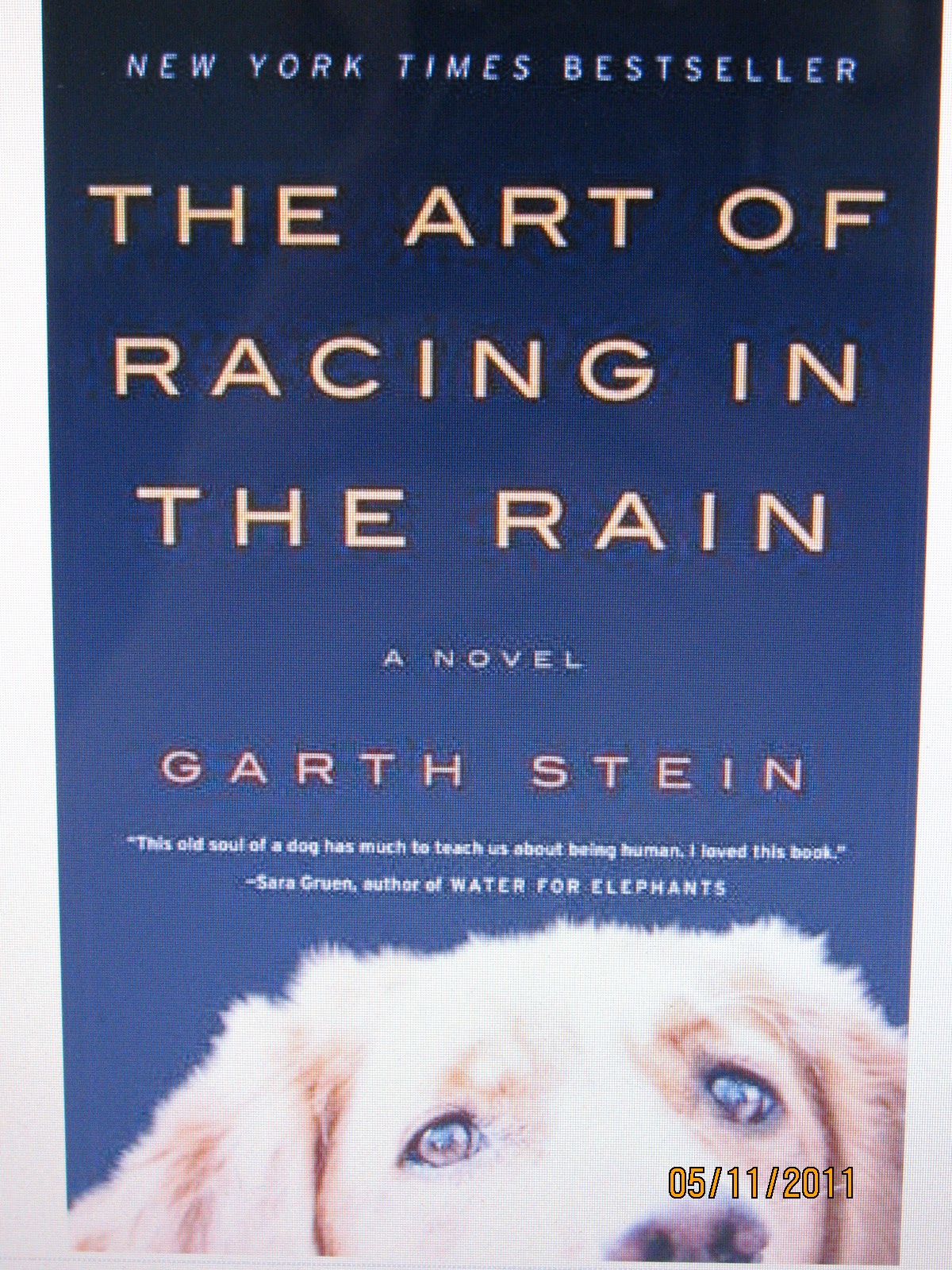 bookswami: The Art of Racing in the Rain by Garth Stein