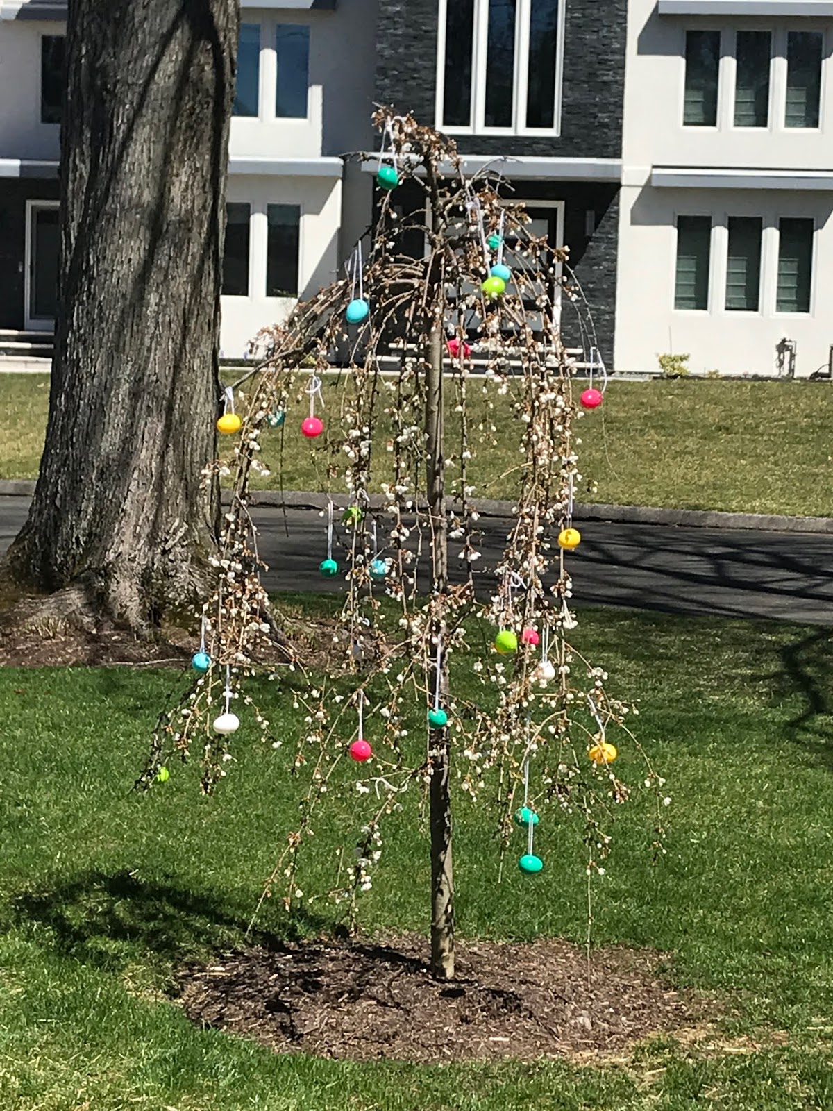 Easter Egg Tree