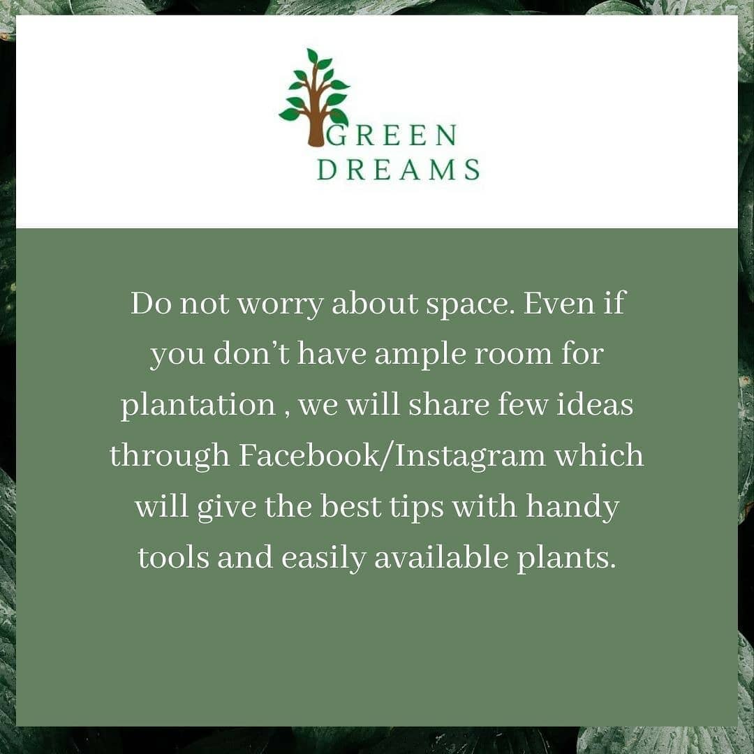 World Environment Day HD images, photos 2020 and caption for status "HD ...