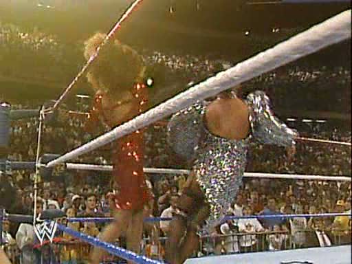Wrestlemania para siempre: SummerSlam (1989)