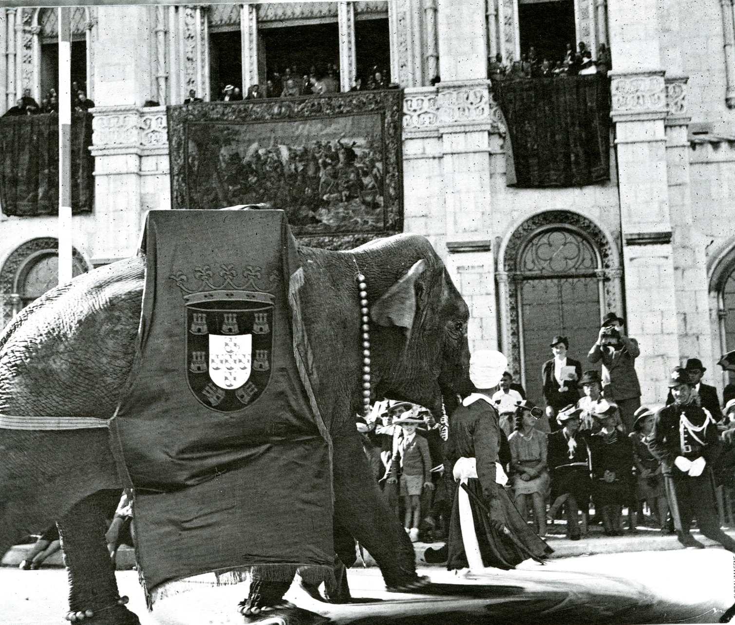 Roger Crowley: The Pope's elephant