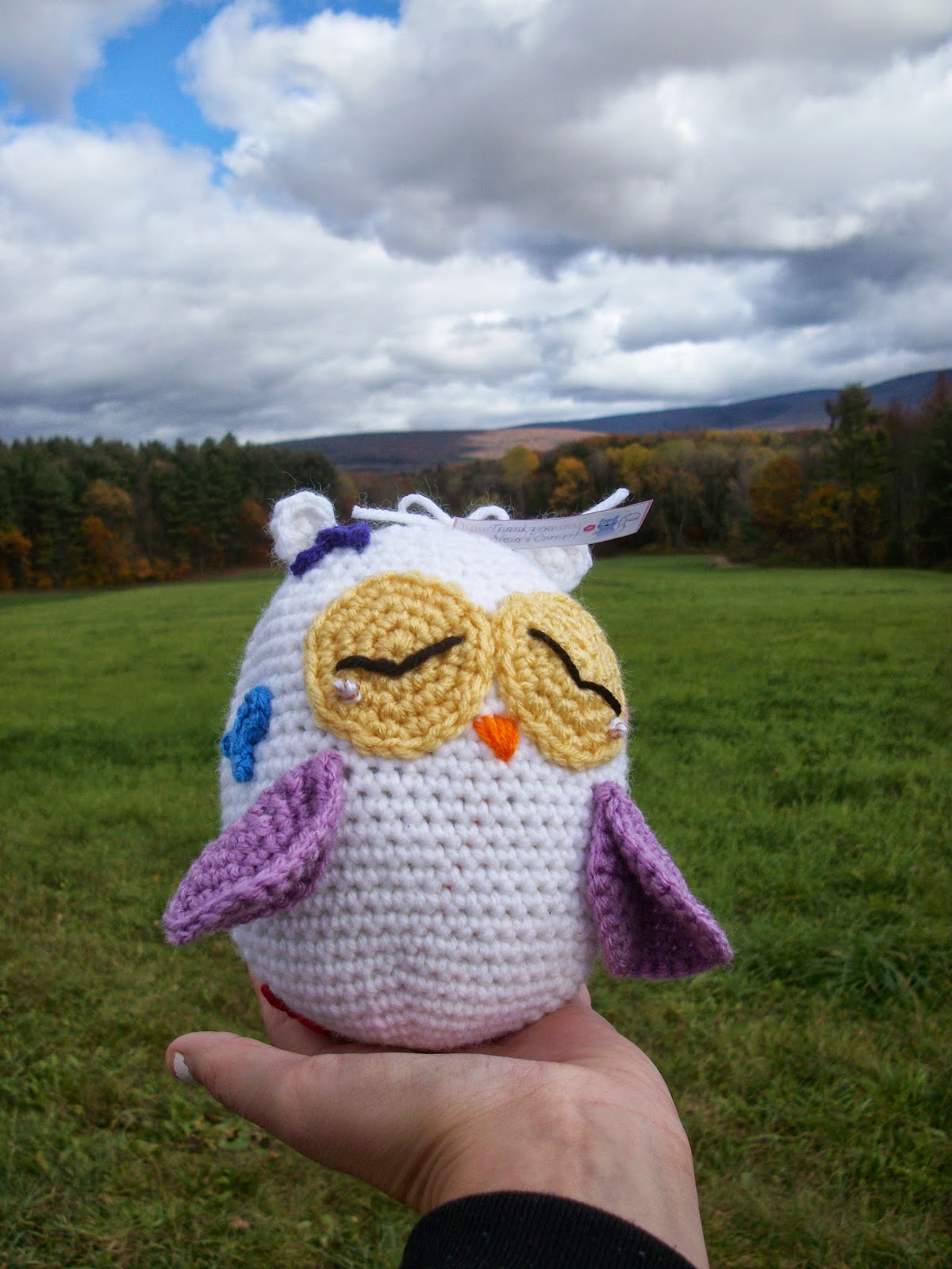SweeTidbitz: ~ HOOT ~ The owl for a cure