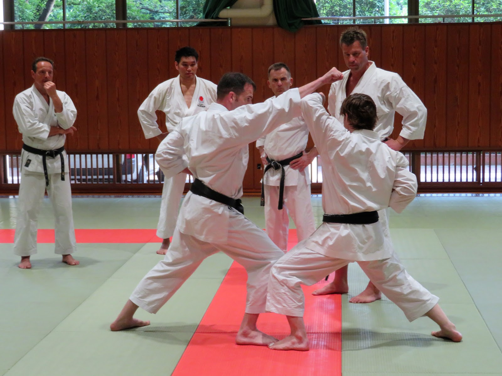 André Bertel's Karate-Do: May 2017