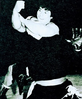 ¿QUIEN ES QUIEN? LUCHA LIBRE