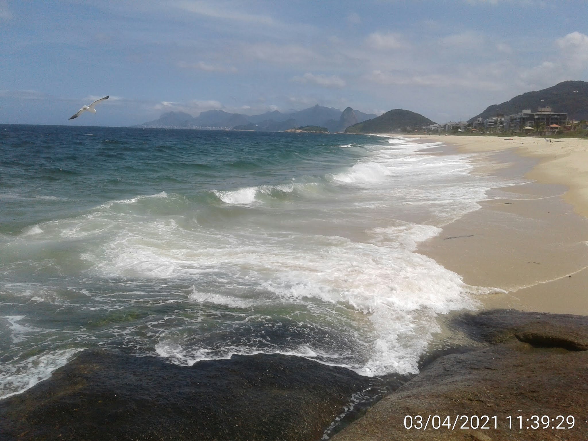 Carioca que ama o Brasil e estado do Rio de Janeiro. Valorizando sua ...