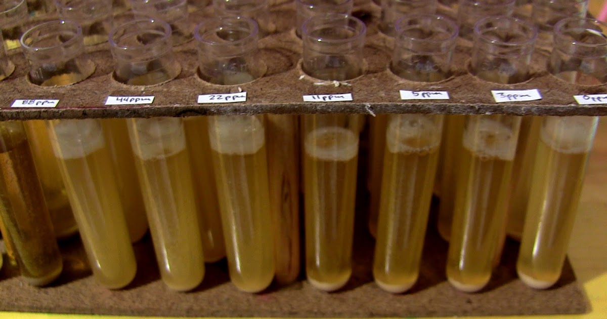 Woodland Brewing Research Yeast Propogation With Aerobic Respiration