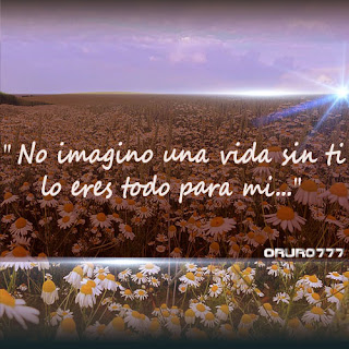 ♥ Nunca imaginé amar así, frases, imágenes