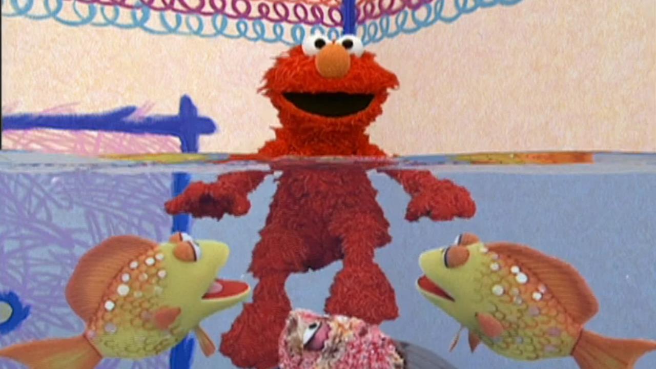 Watch Elmo's World Fish