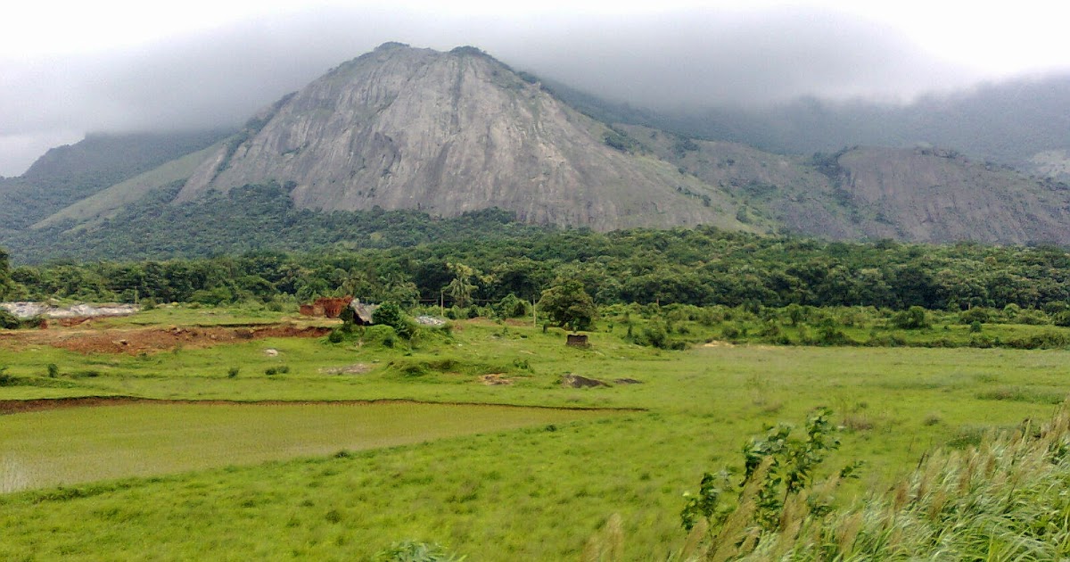 Historic Alleys: The Palghat Achans or Shekhari Varmas of Nedumpuraiyur