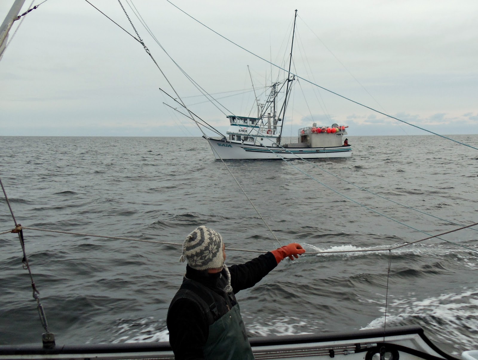 Sandra's Alaska Photography: April 2013: Commercial King Salmon Power ...