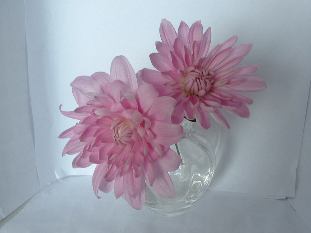 Bellasandra's Crafts: October 2011