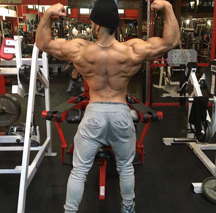 the beauty of male muscle: Gabriel