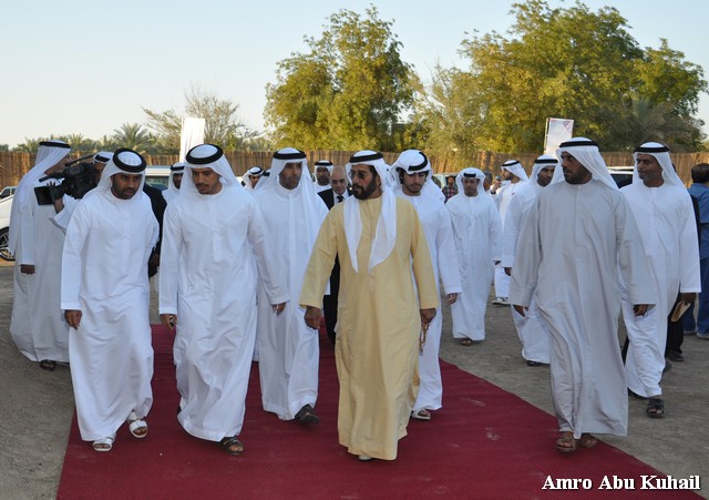 SOMEONE IN AL AIN: Al Qattara Arts Center