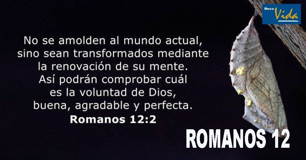 Neco Vida: Leyendo... Romanos capítulo 12