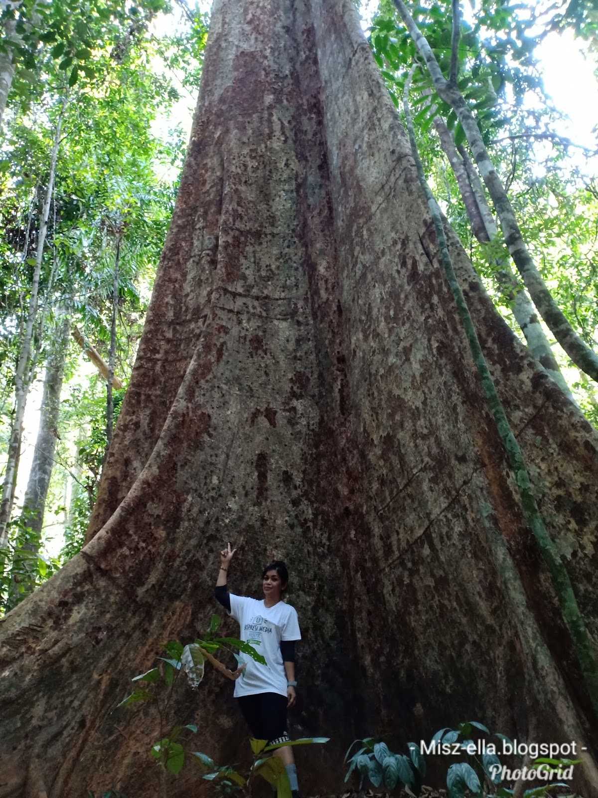 Ekpresi Media Kenyir 2019 - Trekking ke Pokok Melunak dan Gua Bewah ...