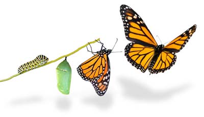 Nothing dies. Death is a wrong notion. There is only transformation ...