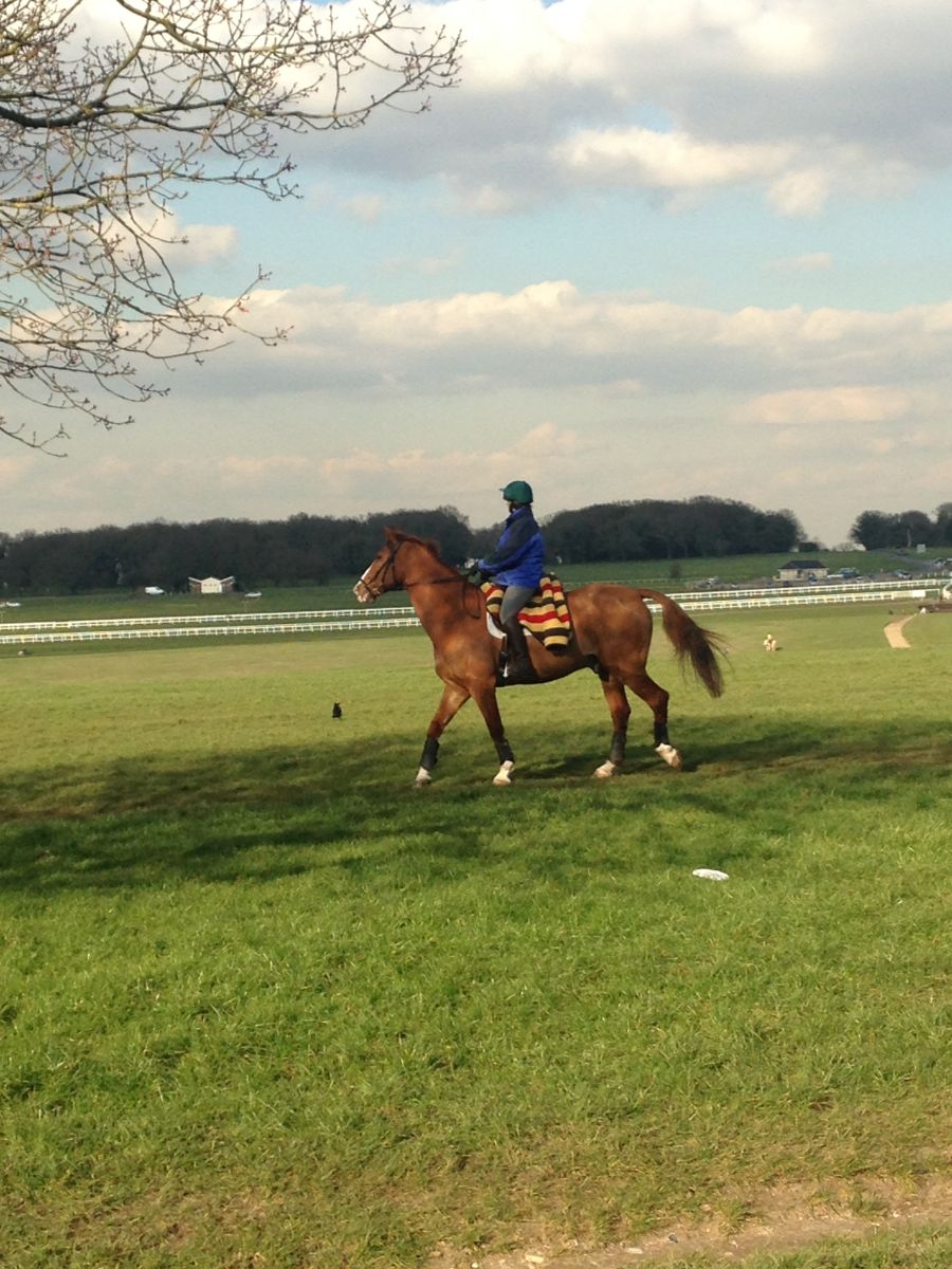 Downs House & Racing Stables, Epsom Downs...