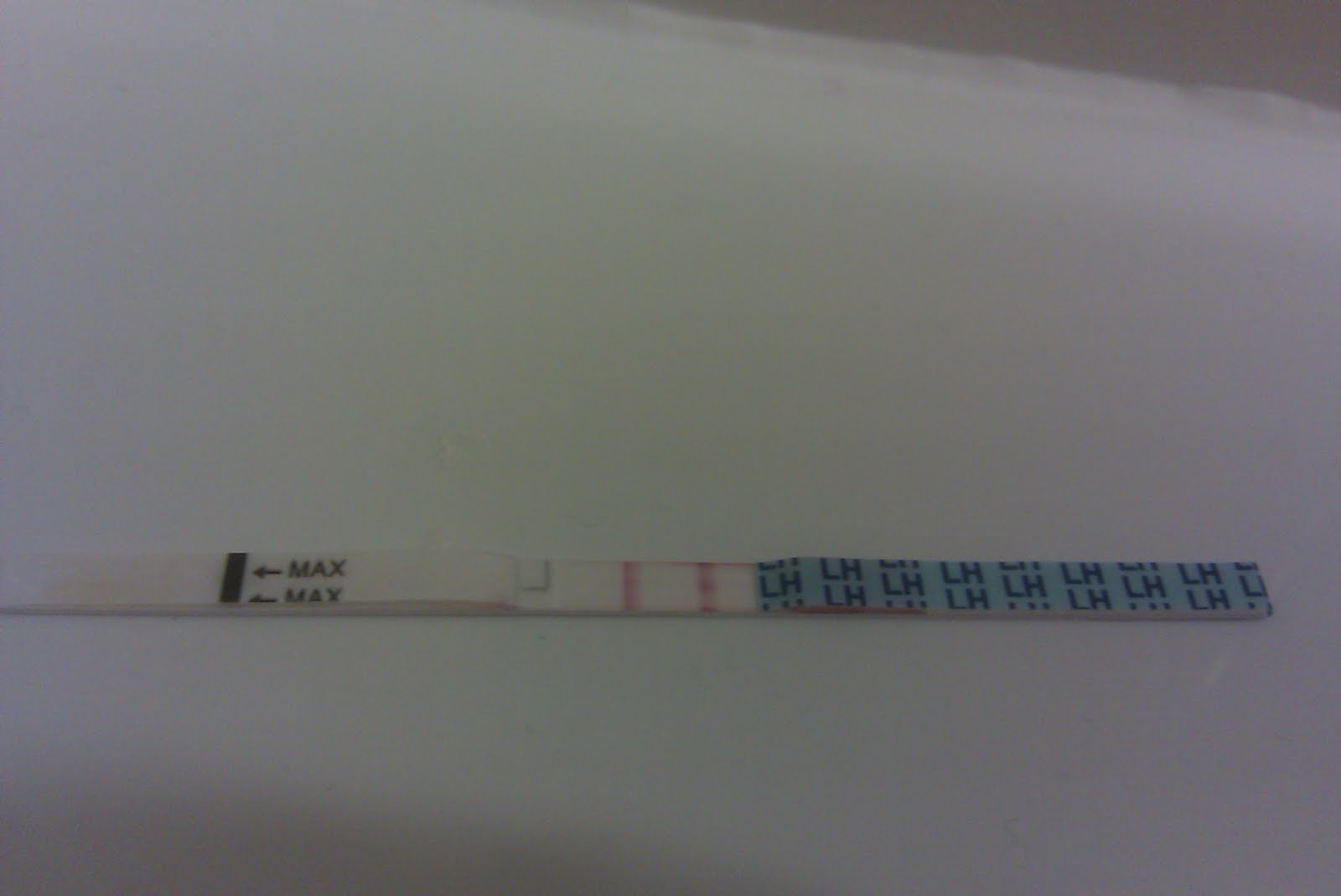 Positive OPK! - Modernly Morgan